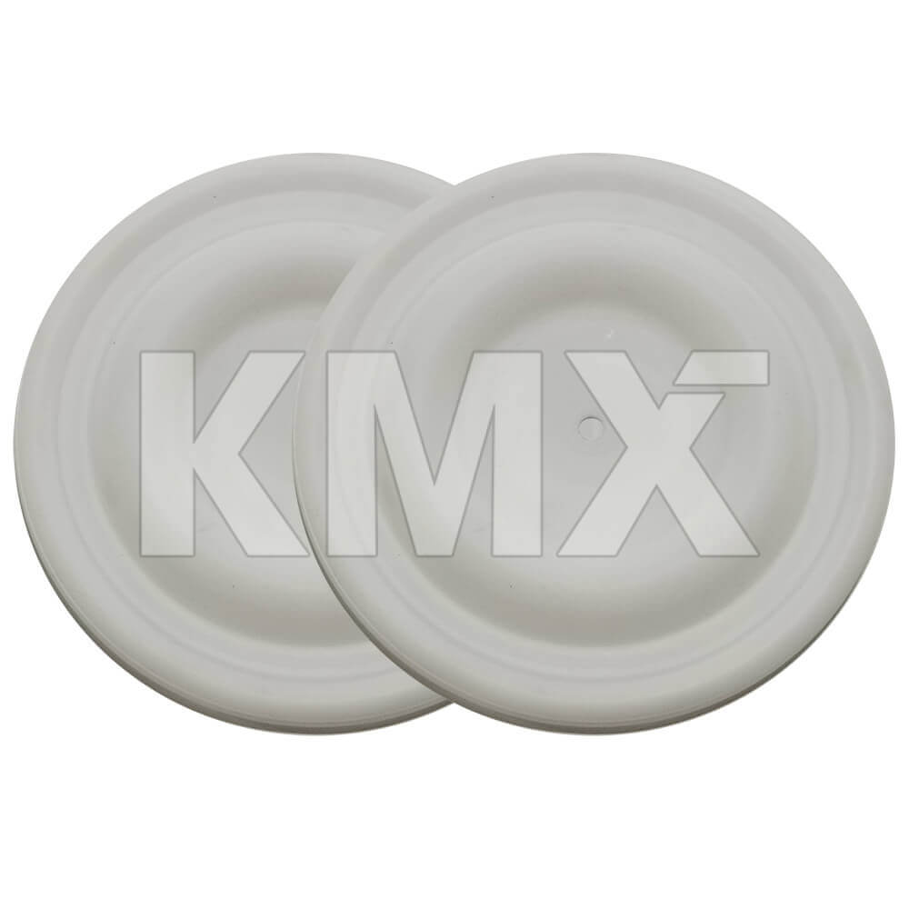LUTZ JESCO 11409-59-2PK Repuesto Diafragma PTFE LJPT-B1 - Bombas de ...